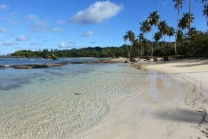 Surfing Rincon Puerto Rico: The Ultimate Guide
