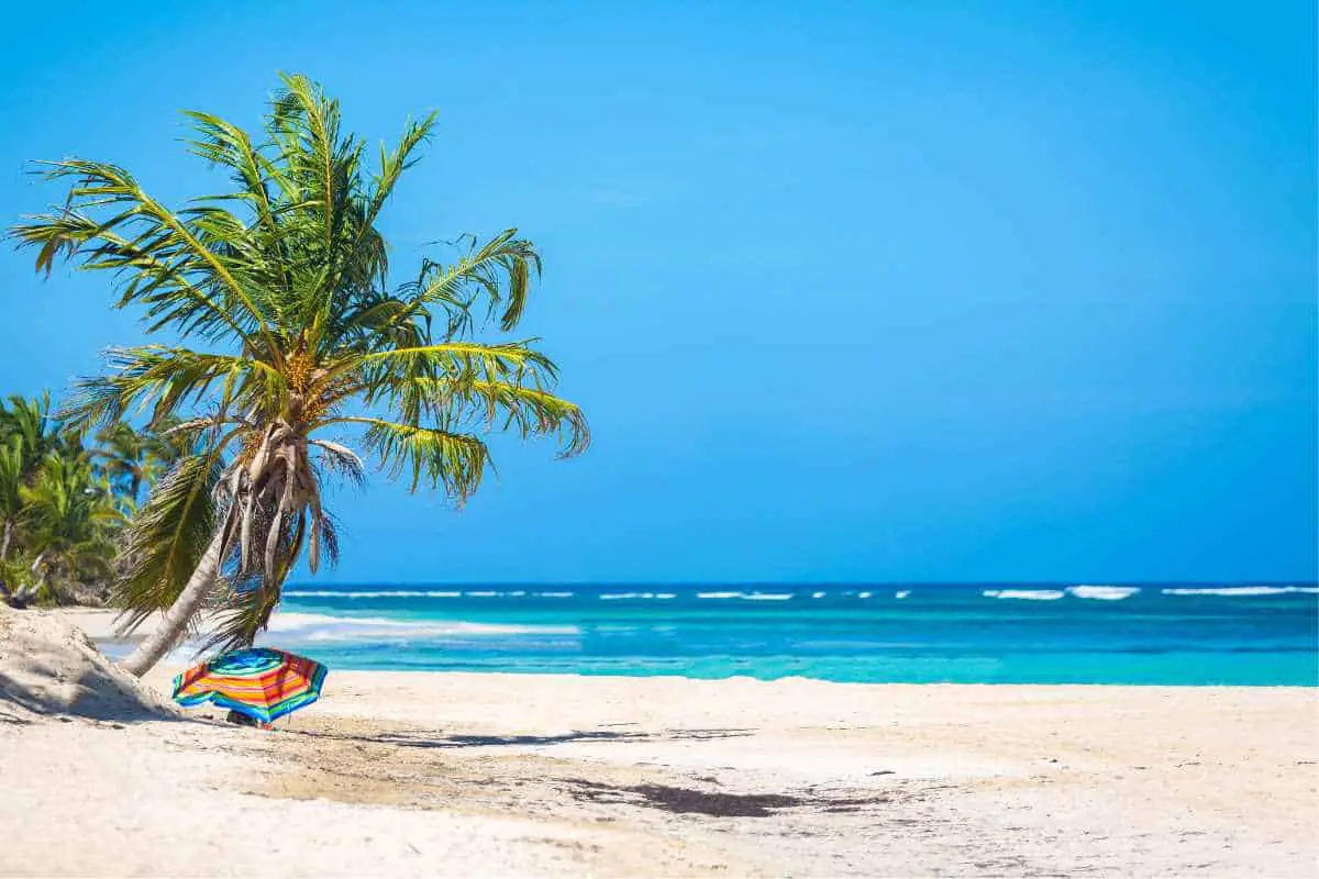 Surfing Rincon Puerto Rico: The Ultimate Guide