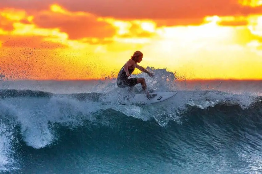 Conquering Waves, Discovering Worlds: A Surfer's Odyssey