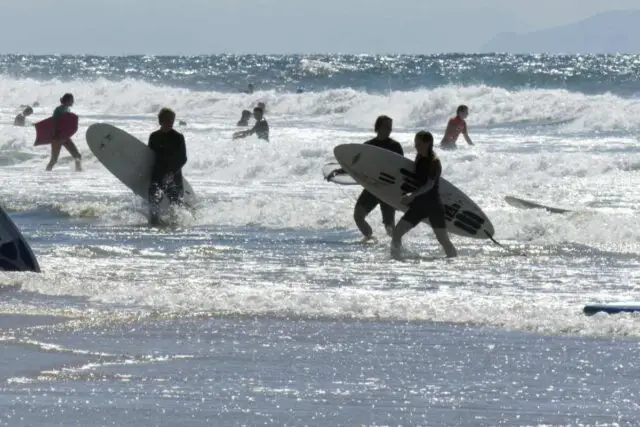 Do You Say Do or Go Surfing: Surf Lingo for Beginners