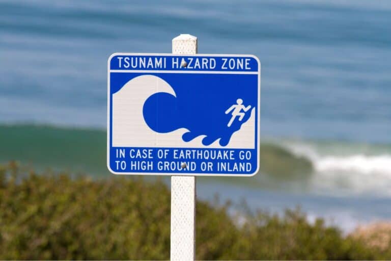 Can You Surf a Tsunami? Debunking the Myths