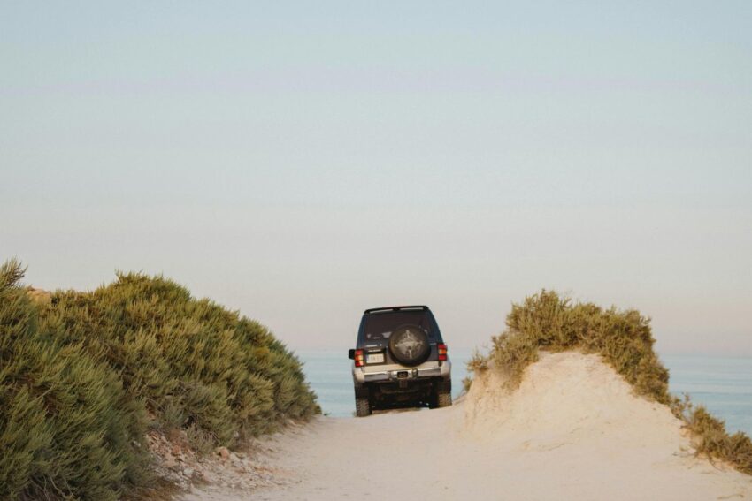 Best Cars for Surfers: Top 10 Rides for Surfing Adventures