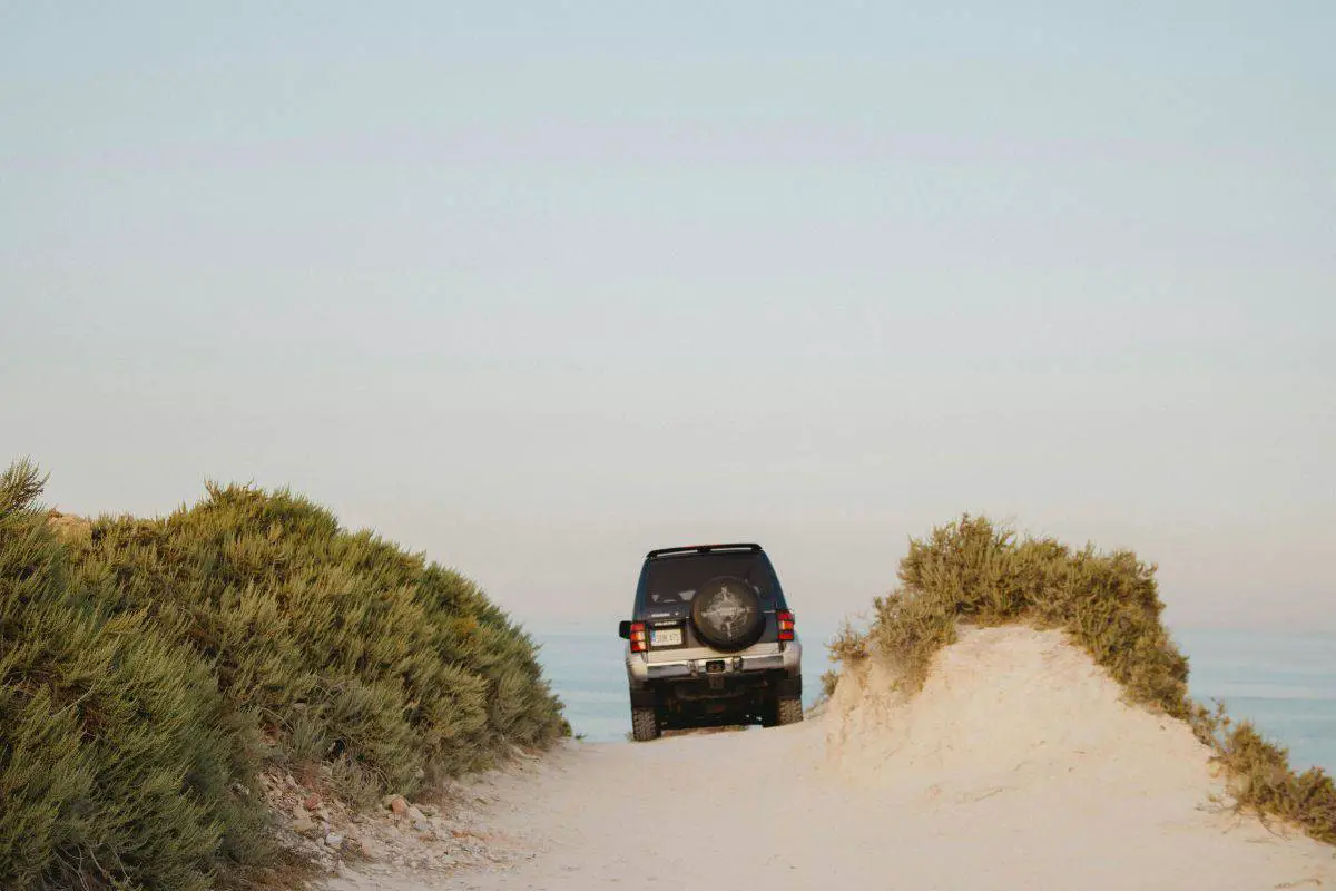 Best Cars for Surfers: Top 10 Rides for Surfing Adventures