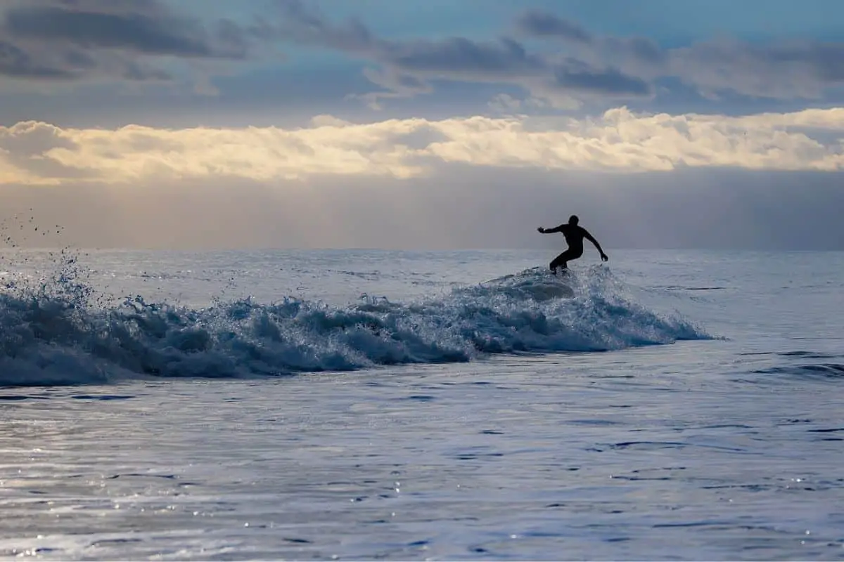 Does Pee Attract Sharks? Debunking Ocean Myths - | GetFoamie.com
