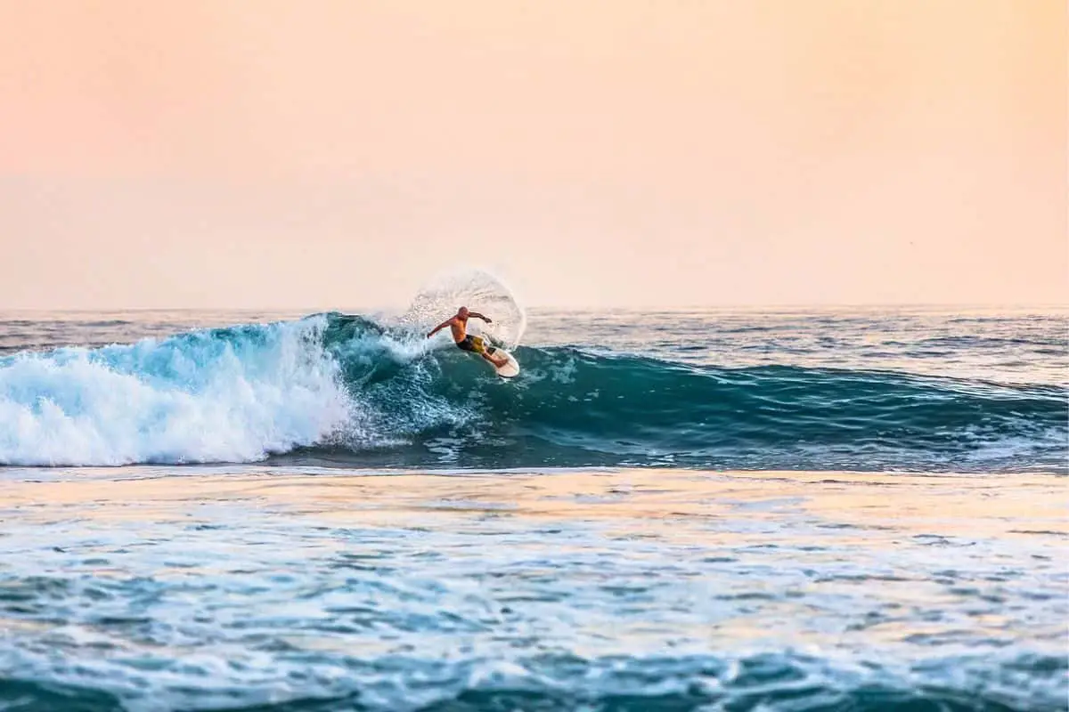 Does Pee Attract Sharks? Debunking Ocean Myths - | GetFoamie.com