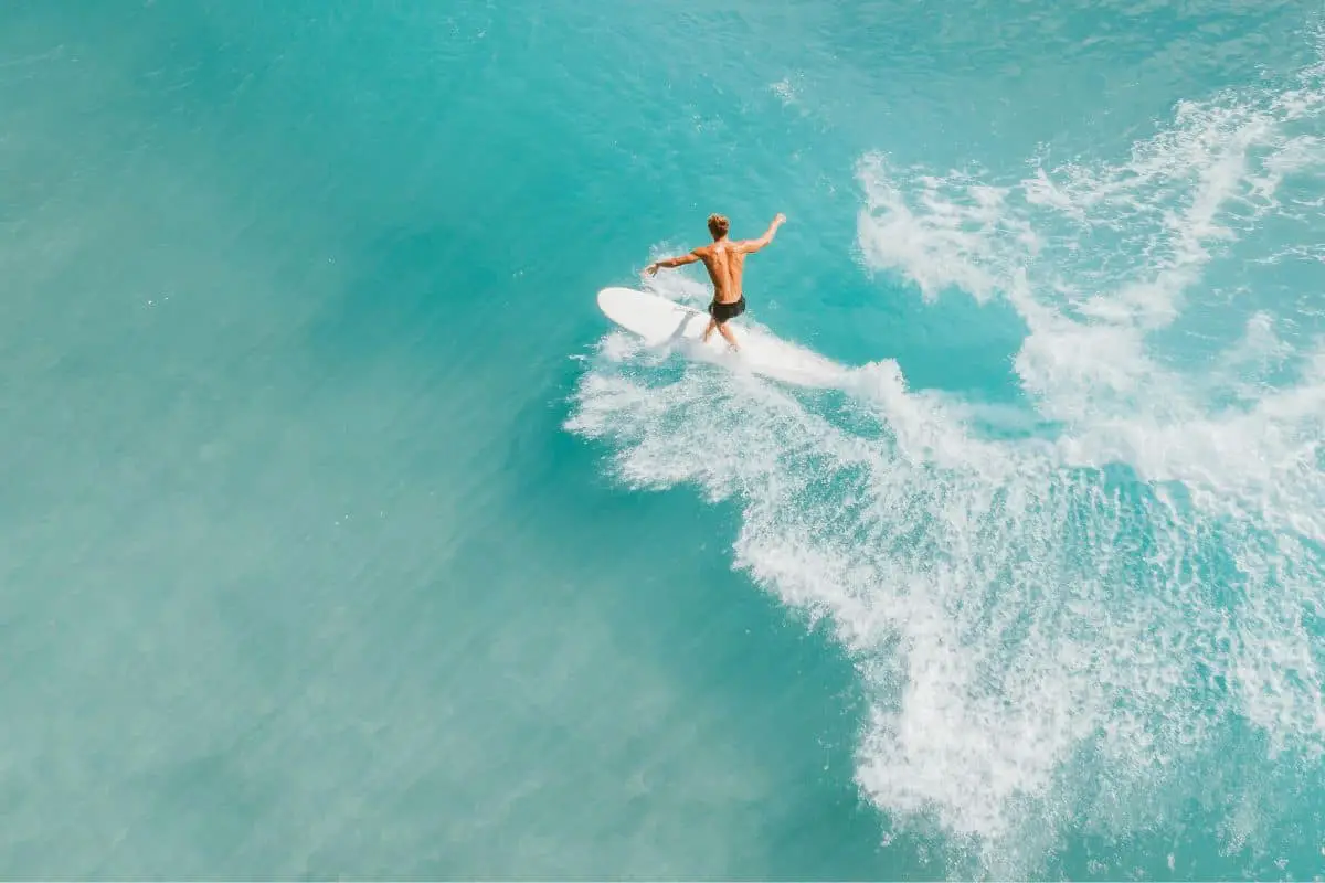 Top 5 Critical Surfing Tips for Beginners!